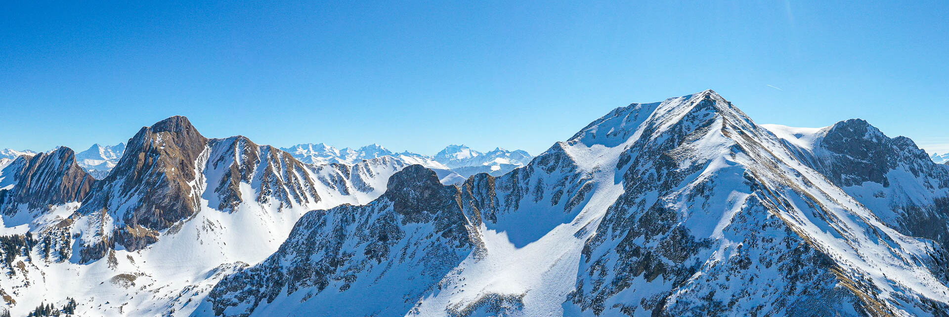 Mitglied - Naturfotografen Schweiz