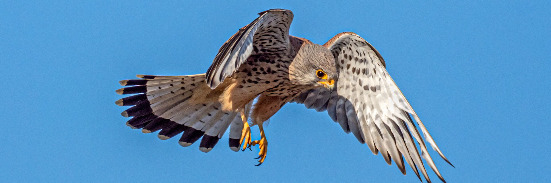 Schweiz - Naturfotografen Schweiz