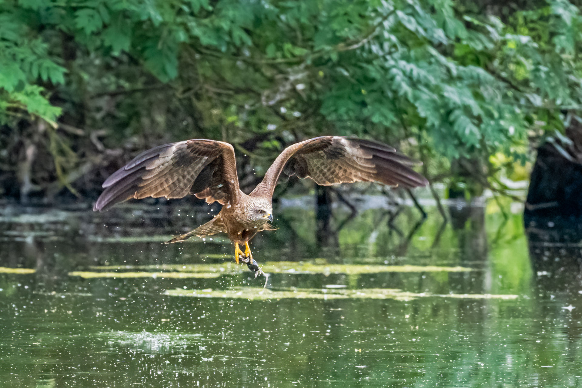 Schweiz - Naturfotografen Schweiz