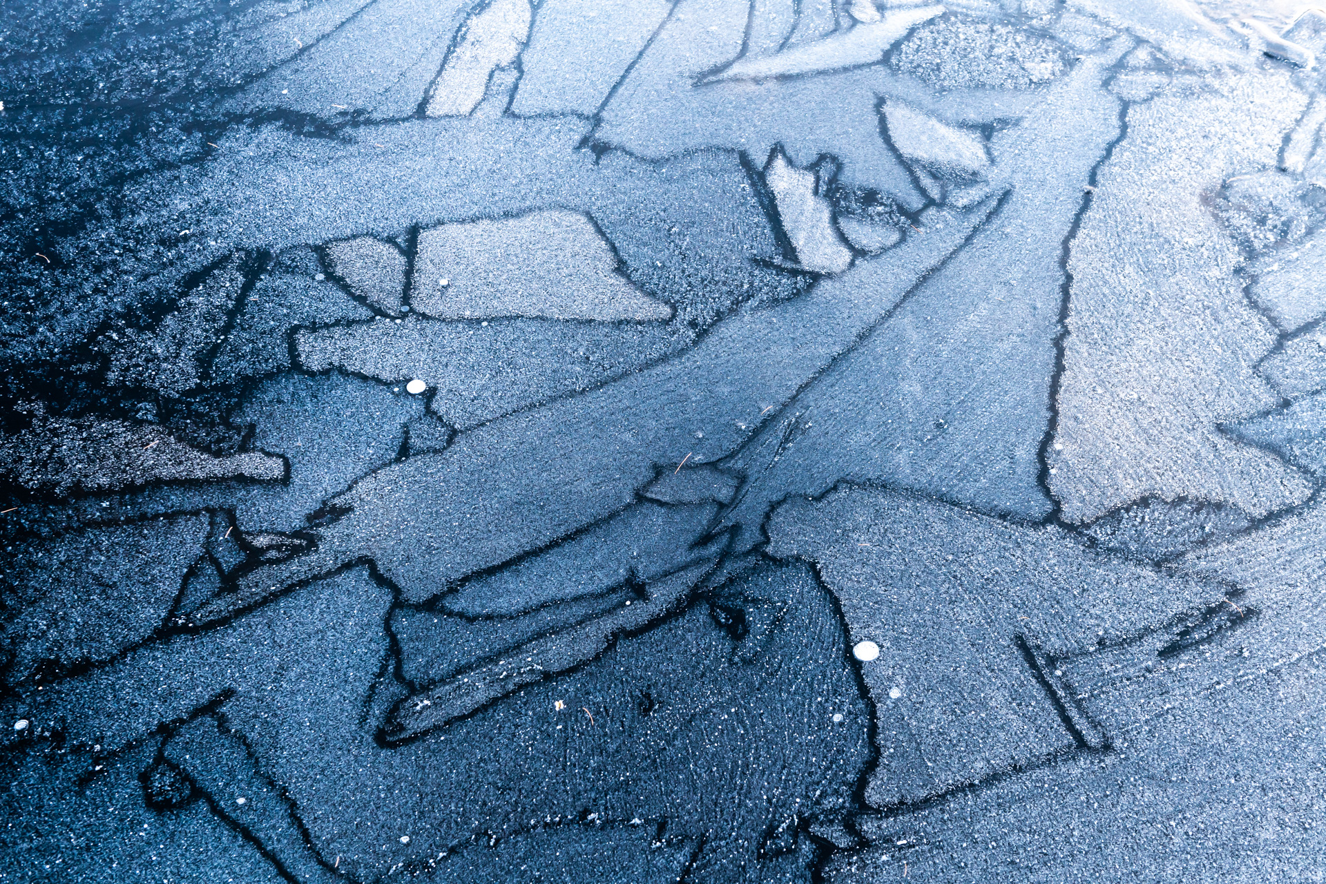 2021 - Naturfotografen Schweiz